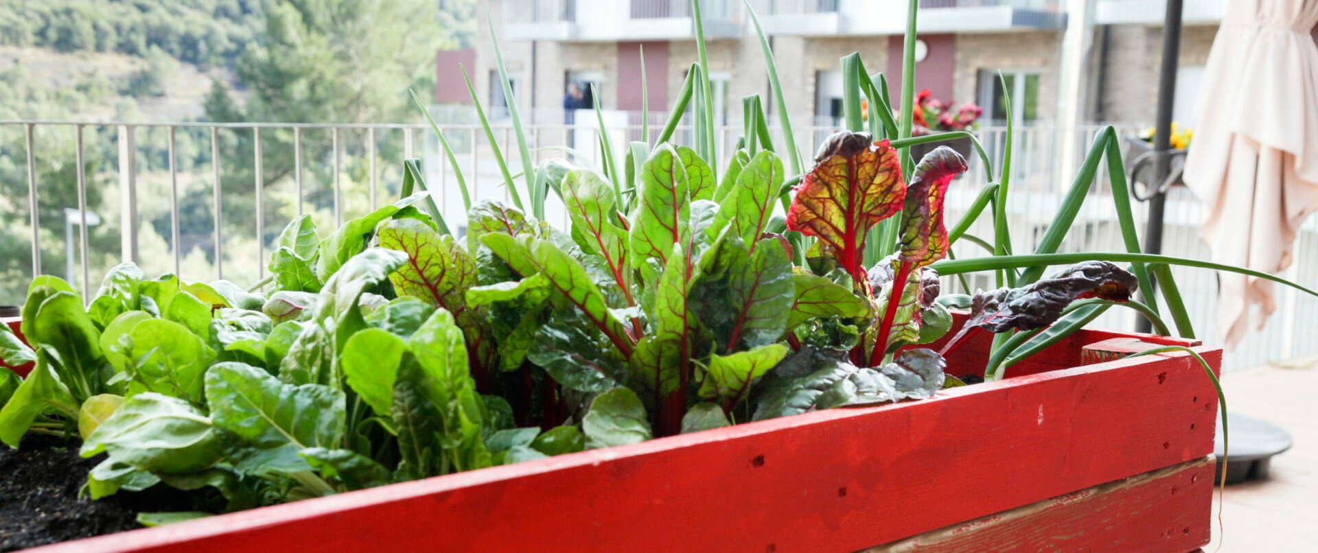 Circular food pioneer projects - ReLondon